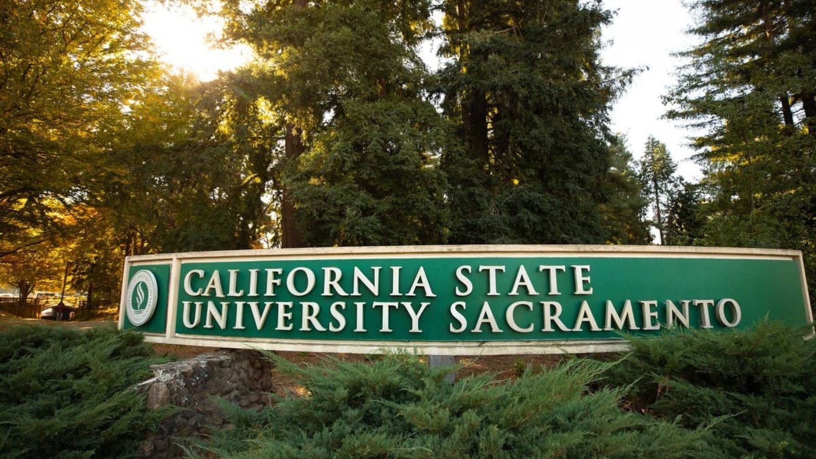Sacramento State University Sacramento State Hires 17 New Faculty